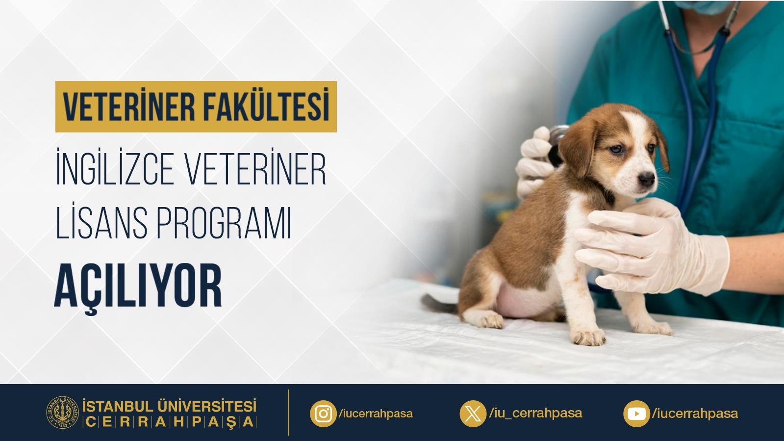 İstanbul Üniversitesi-Cerrahpaşa