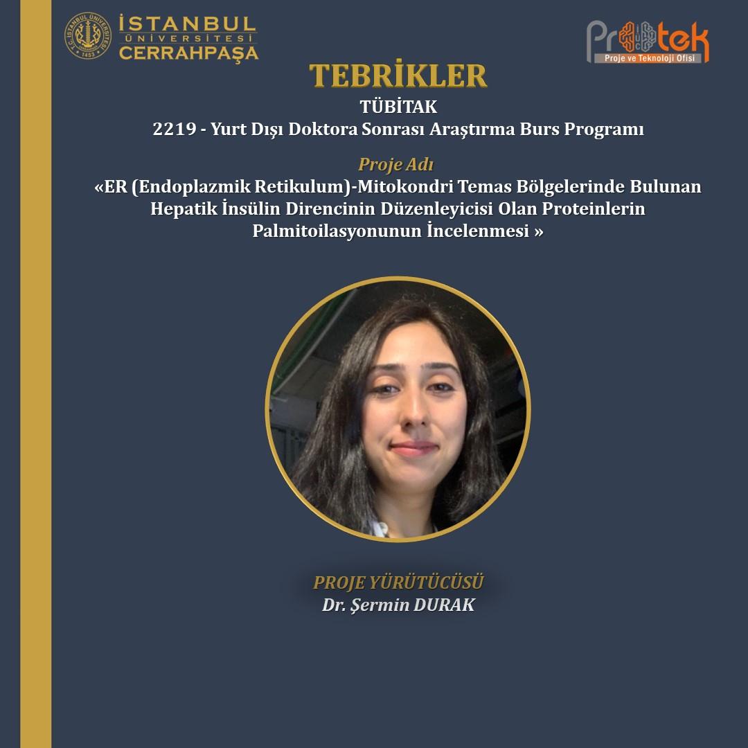 İstanbul Üniversitesi-Cerrahpaşa.